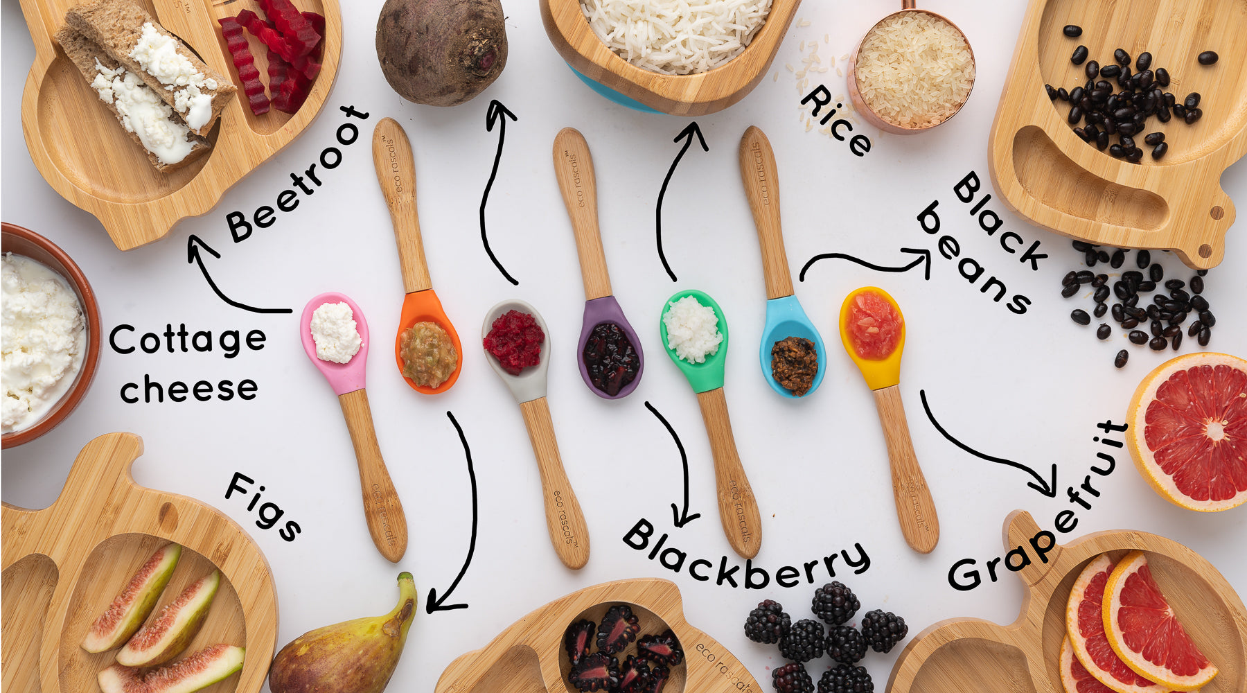 100 first foods before 1 - Part 4 – eco rascals Limited